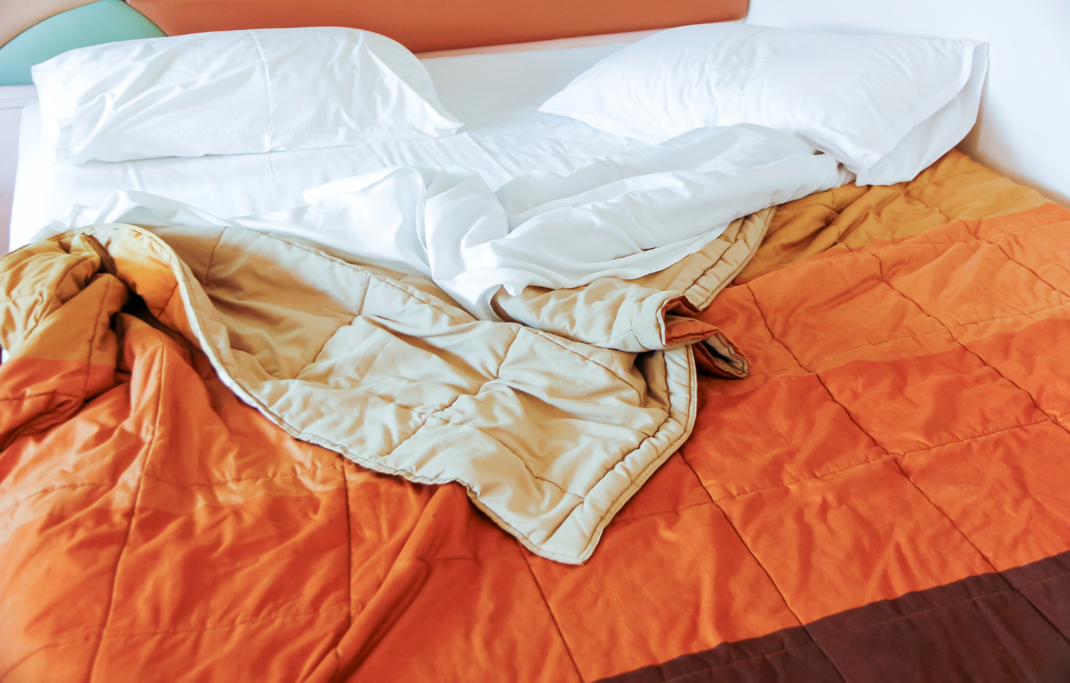 Ácaros en la cama: qué son y cómo eliminarlos